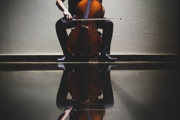 person-playing-cello-2032476 | HOLZMANN FINE INSTRUMENTS